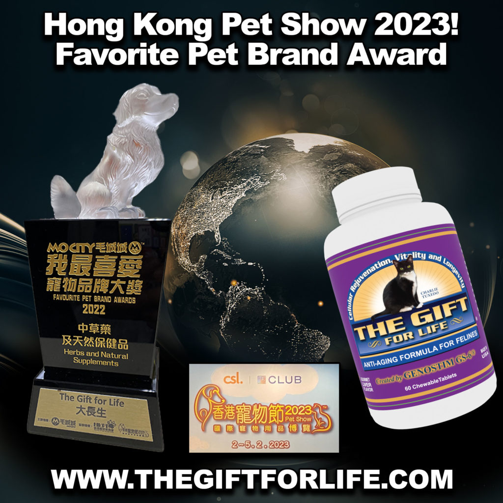 The Gift For Life Feline – The Gift For Life